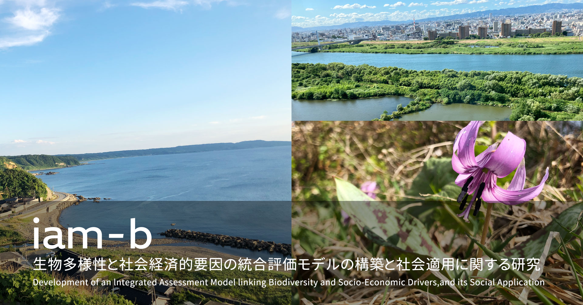 研究メンバー ｜ iam-b.jp